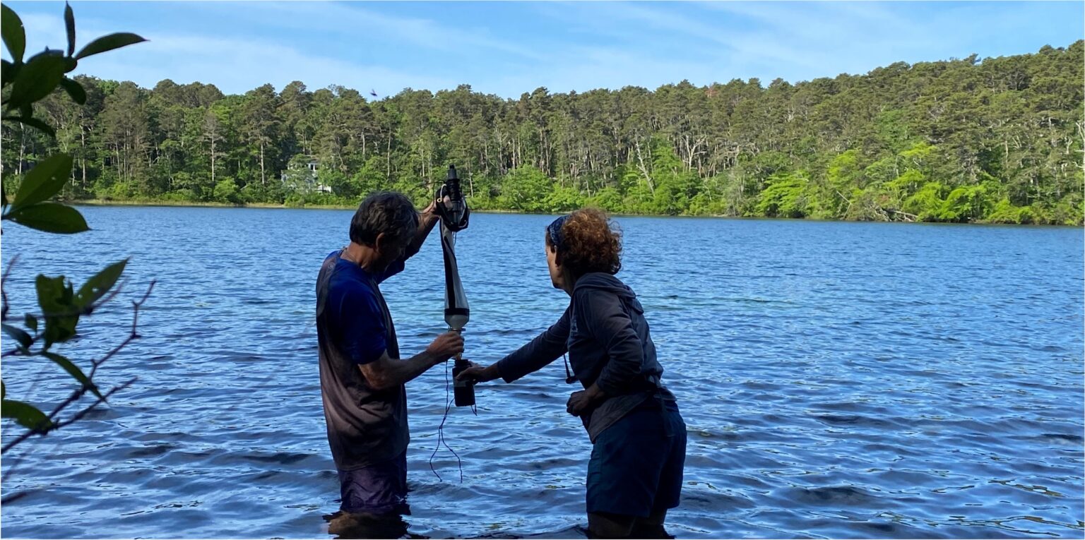 Cyanobacteria: What They Are & Why They Concern Us – Friends of ...